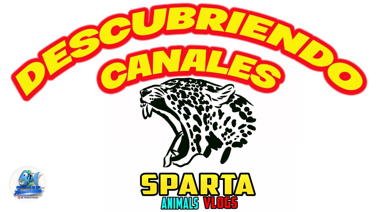 Descubriendo Canales #10 SPARTA ANIMALS - YouTube