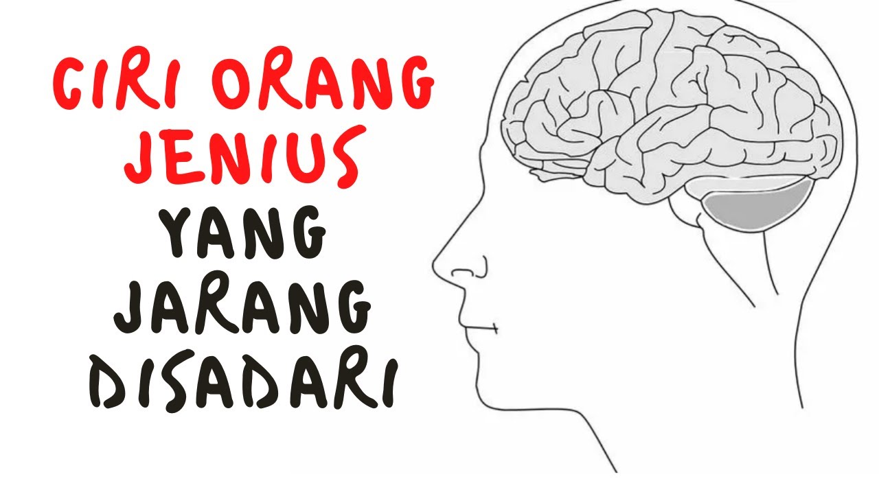 Ciri Orang Jenius yang Tidak Disadari Manusia | Ciri dan Tanda Orang ...
