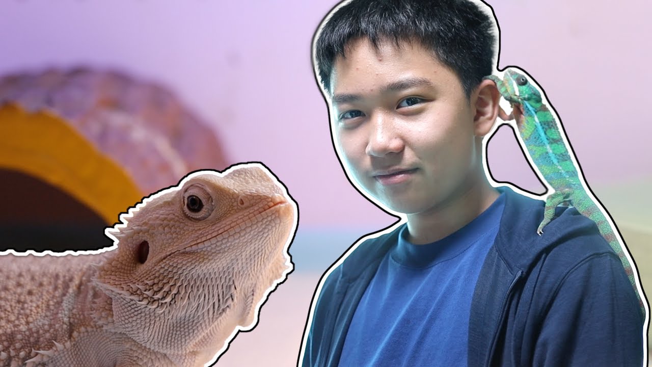 Episode 30 Reptiles YouTube