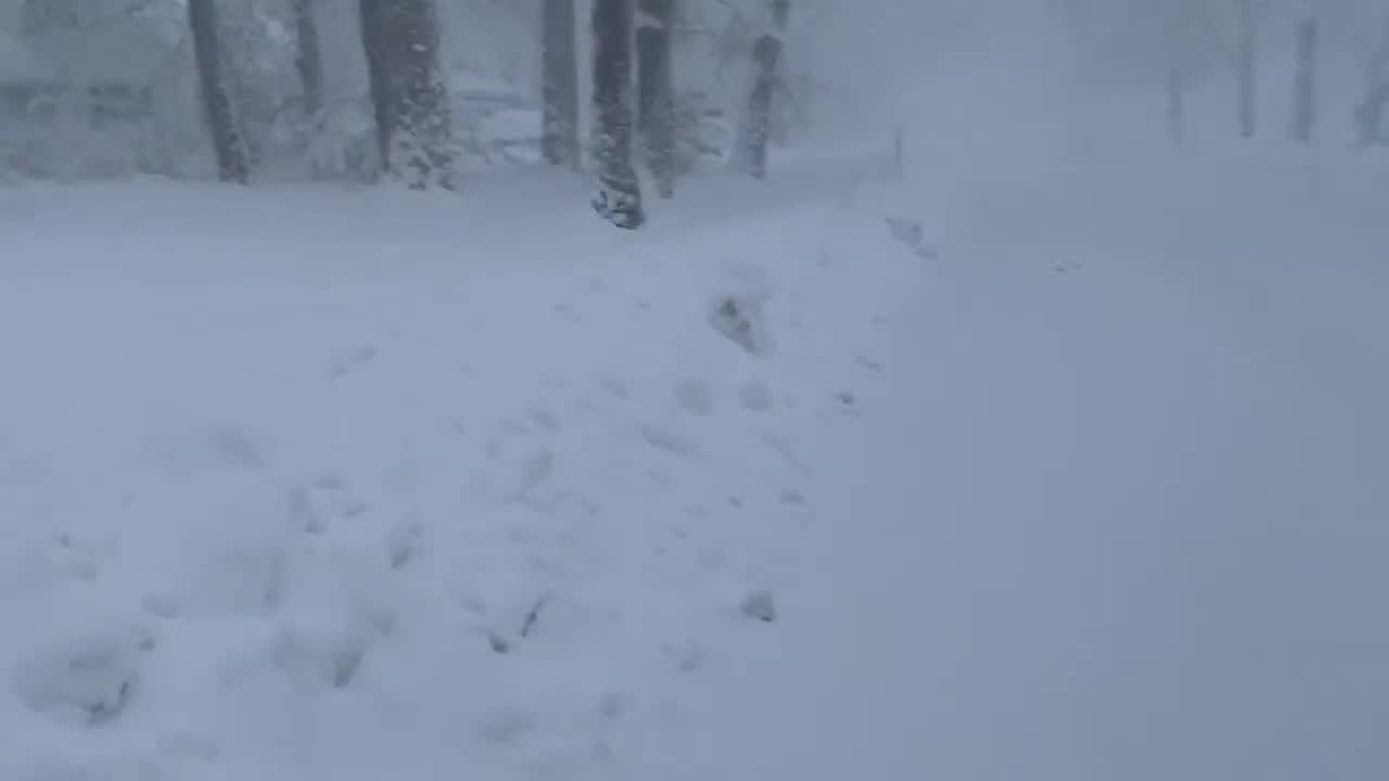 Walking through knee-deep, wet, heavy snow in Orchard Park - YouTube