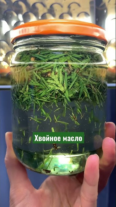 Масло с травами / хвойное масло/ готовим полезное масло / травяное ...