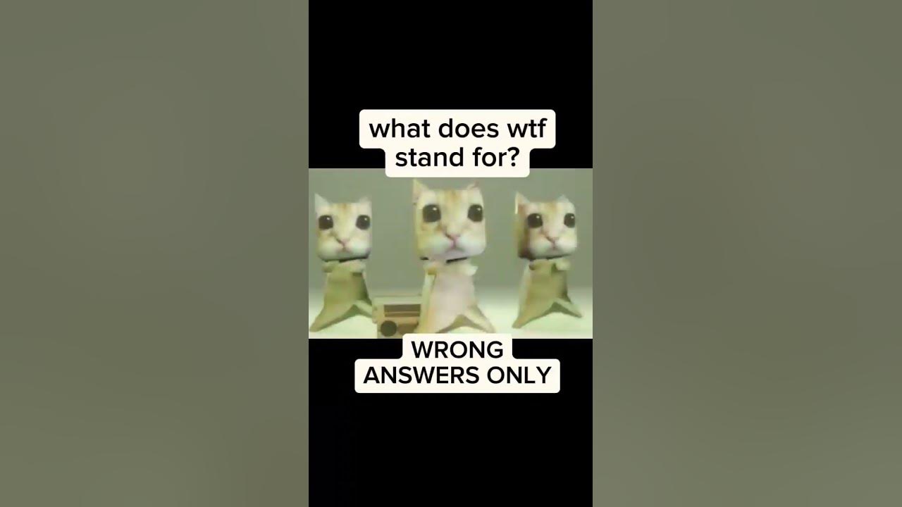 What Does Wtf Stand For WRONG ANSWERS ONLY shorts YouTube what-does-wtf-stand-for-wrong-answers-only-shorts-youtube