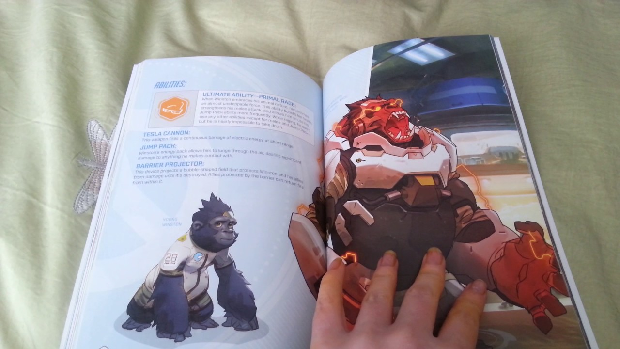 Overwatch World Guide Review - YouTube