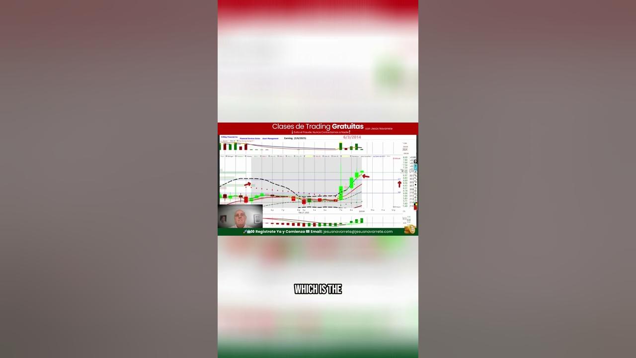 Ridley Stock: Red Algorithm & Trading Decisions - YouTube