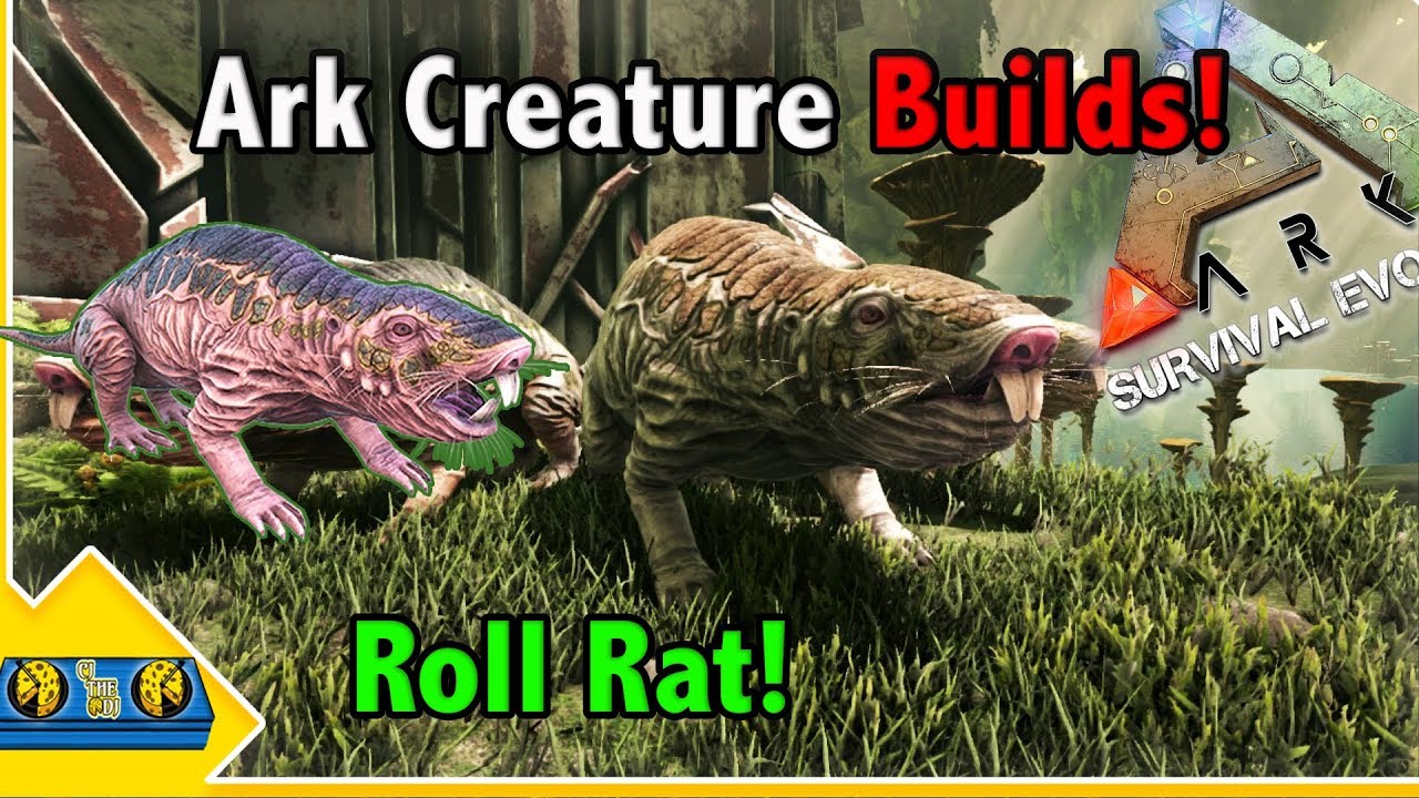 Ark Creature Builds!! || ROLL RAT Builds! || Ark Survival Evolved ...