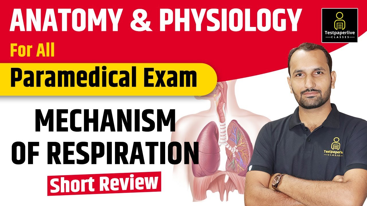 Mechanism of Respiration, Anatomy and Physiology, DMLT, DRT, DOTT ...