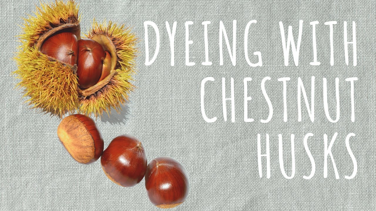 Dye Fabric with Chestnuts for a Natural & Unique Look (2024) - YouTube