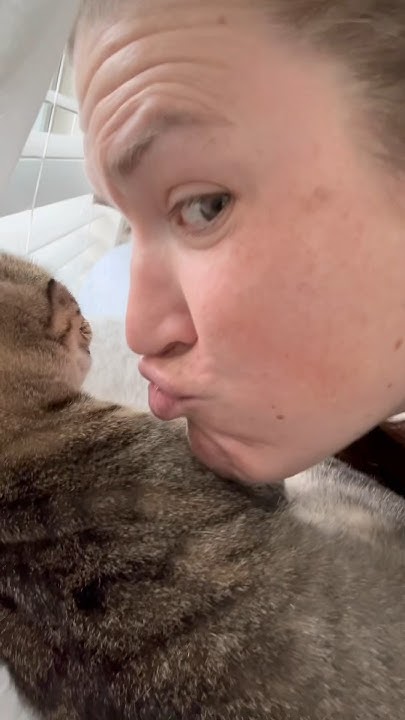 When Your Cat Dodges Every Single Kiss And Wont Give You One Unless You