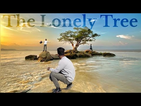 Ek Akela Per 😱 Pani ke Bích Me| The Lonely Tree | Assam | ⁠ Mr B - YouTube
