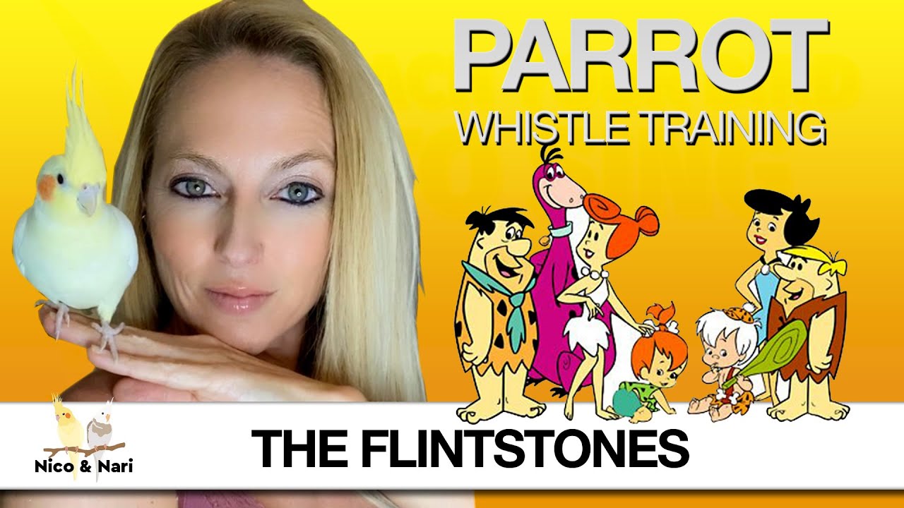 The Flintstones ~ Parrot Whistle Training - YouTube