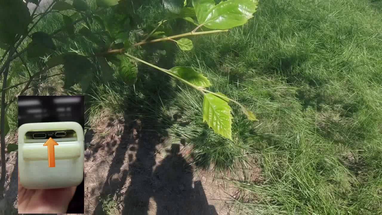 Connecting to your MultispeQ - YouTube