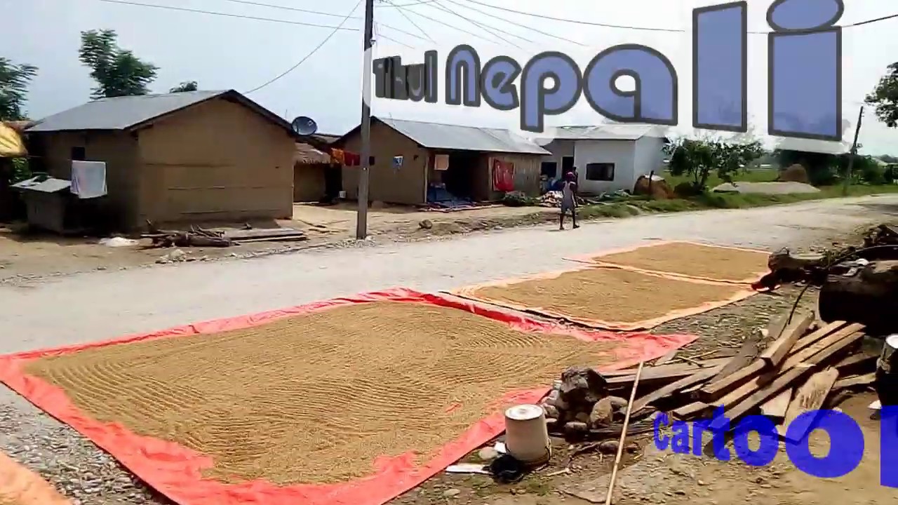 दरै गाउ : trailer || A village of Darai Indigenous People of Nepal ...