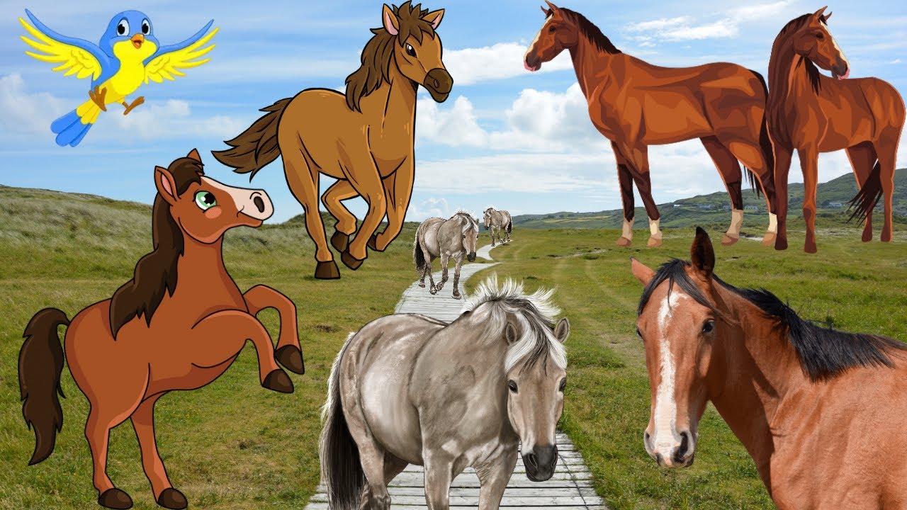 Sounds of horse hooves, horse racing, riding, running, gallop and ...