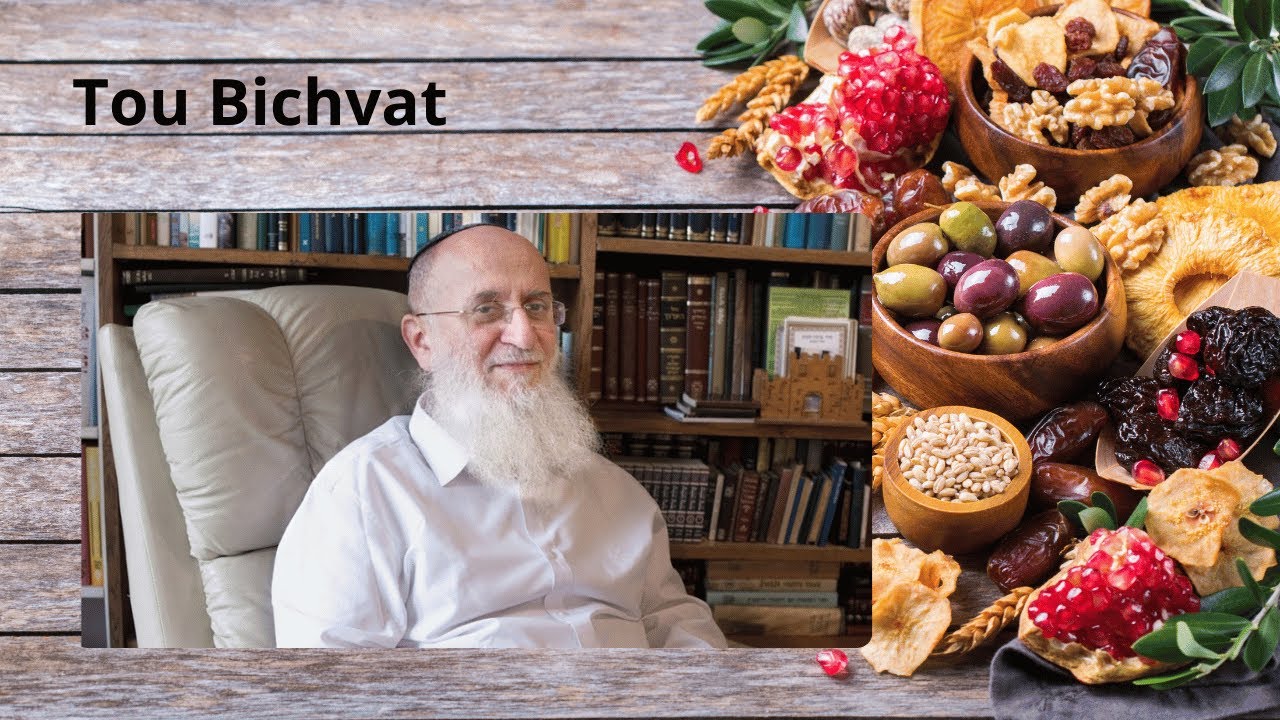 Tou Bishvat – Le Nouvel An de l’Arbre et la Réparation du Monde - YouTube