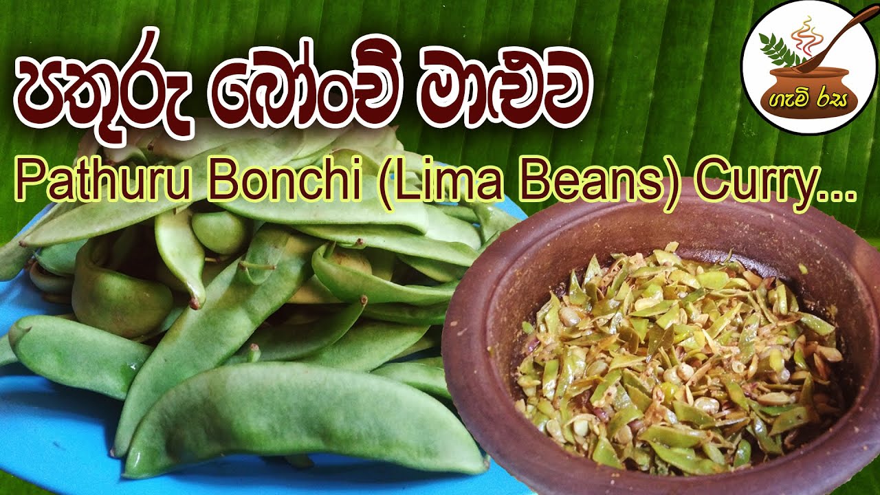 පතුරු බෝංචි මාළුව Pthuru Bonchi [Lima Beans Curry] - YouTube