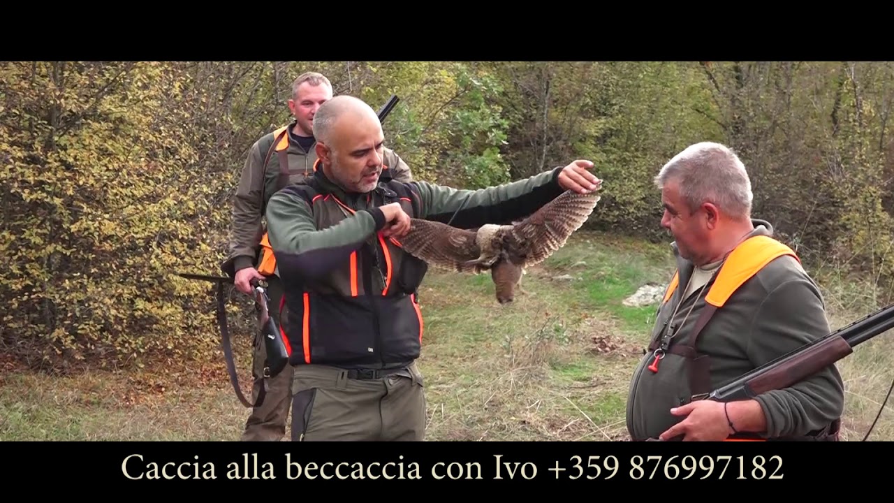 Caccia alla beccaccia in Bulgaria - YouTube
