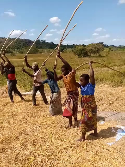 Mpunga mpunga kwetu Shinyanga moja!! - YouTube