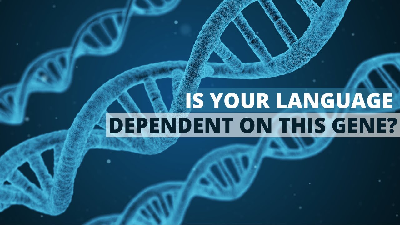 The Language Gene - YouTube