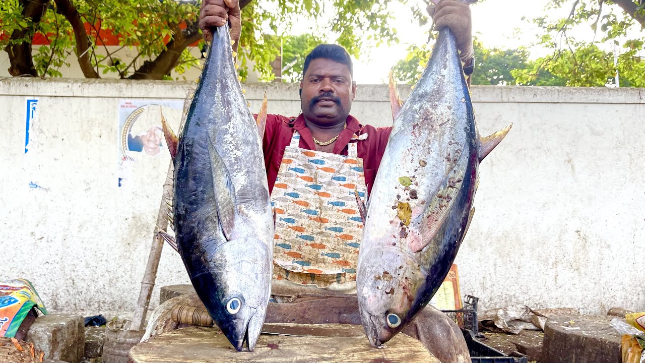 Kasimedu Selvam Tuna Fish Cutiing Video | UK SONS MARINE - YouTube