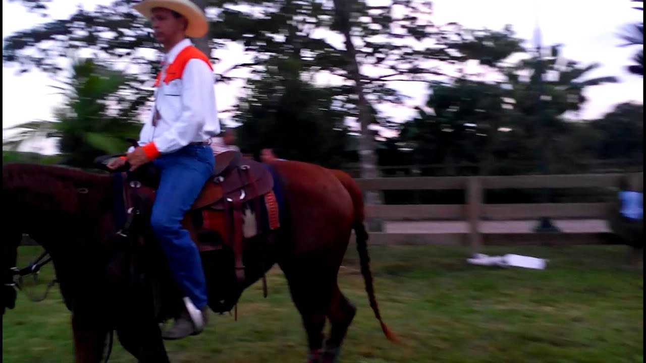 VALIDA TEAM PEANING - YouTube