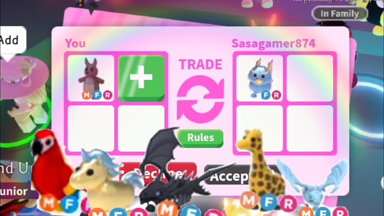 What People Trade For A Mega Kangaroo - YouTube