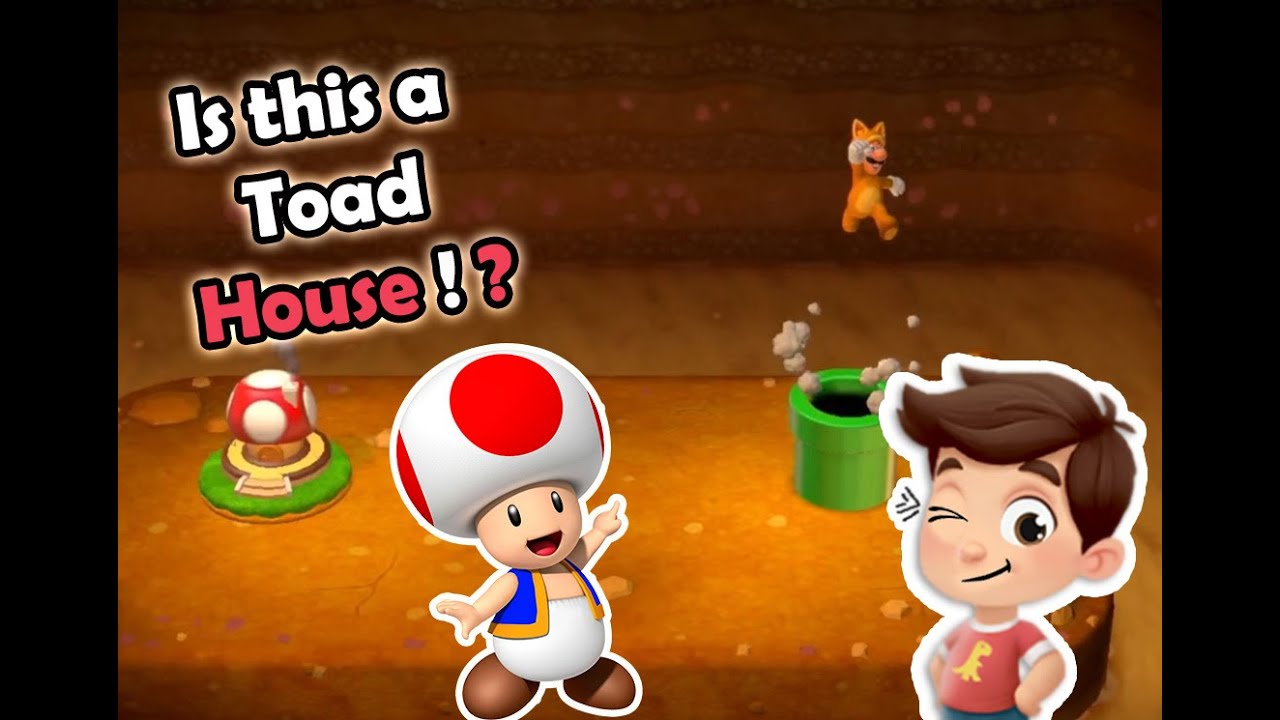 Hidden Treasure in Super Mario 3D World - Toad House Uncovered! - YouTube