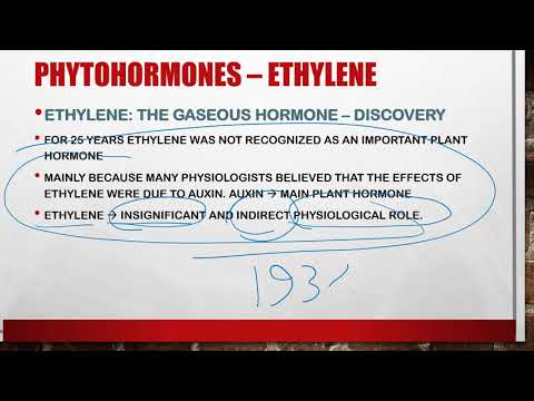 PLANT PHYSIOLOGY – PLANT GROWTH HORMONES – ETHYLENE DISCOVERY - YouTube