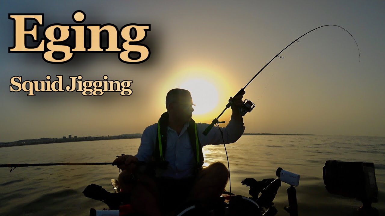 Summer Fishing for Squid - Daytime Squid Fishing - Eging (Squid Jigging ...
