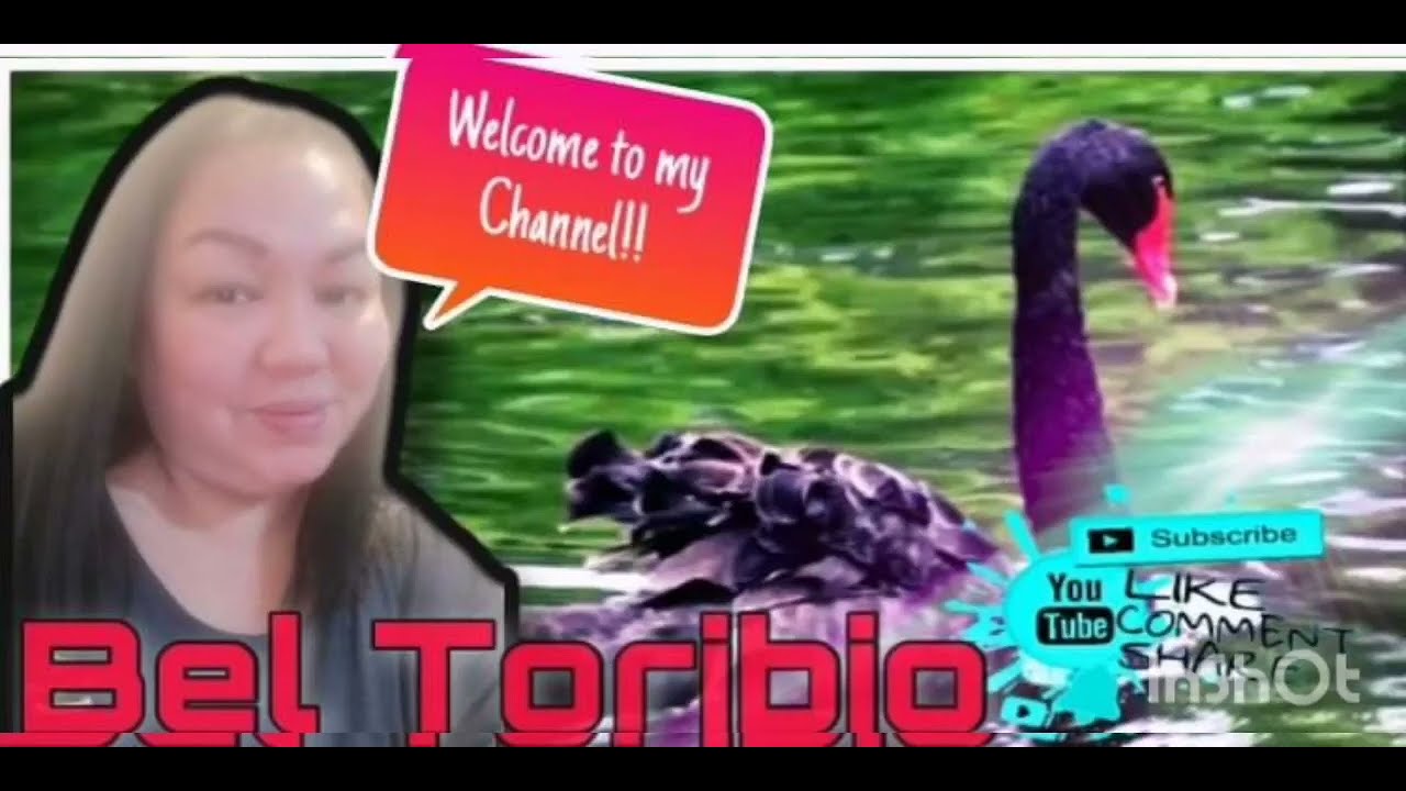 Swan's Behavior, an extinct SpeciesJuly 12, 2020 - YouTube