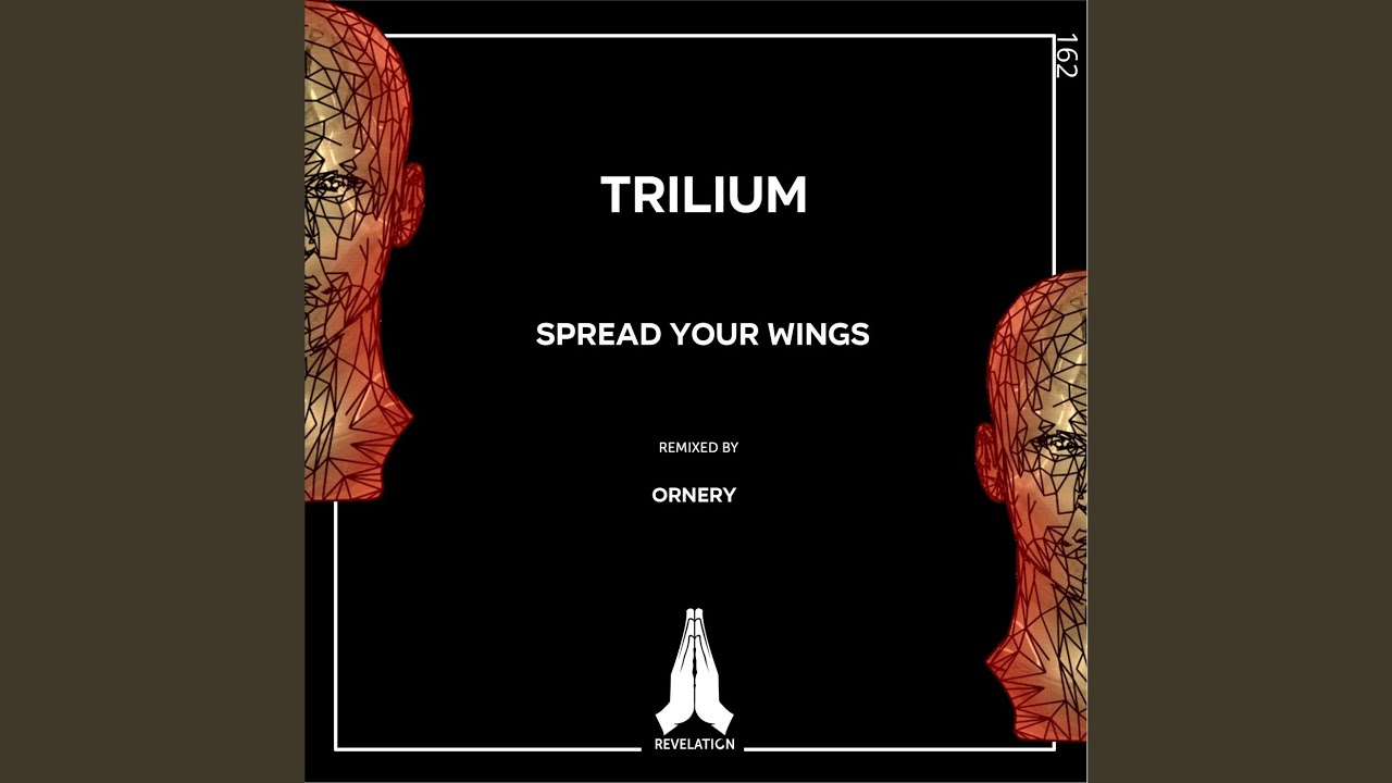 Spread Your Wings (Ornery Remix) - YouTube