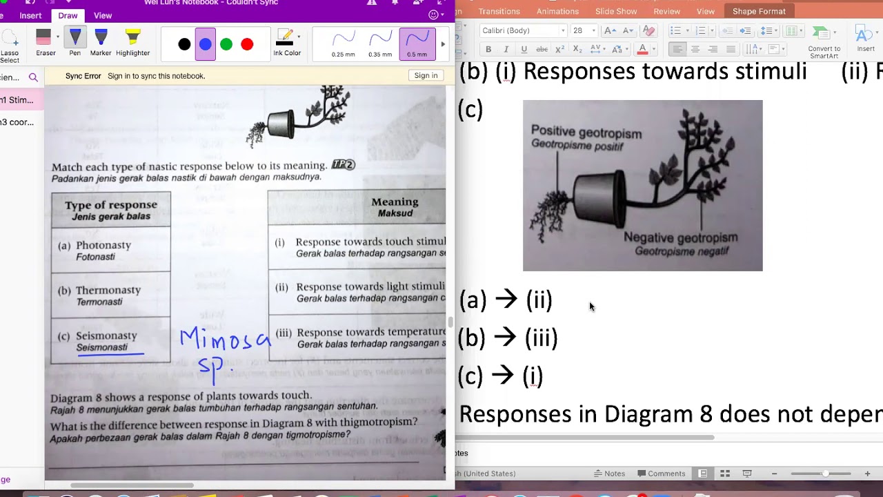Form 3 Science Chapter 1 Stimuli And Responses Exercise Discussion Part form-3-science-chapter-1-stimuli-and-responses-exercise-discussion-part