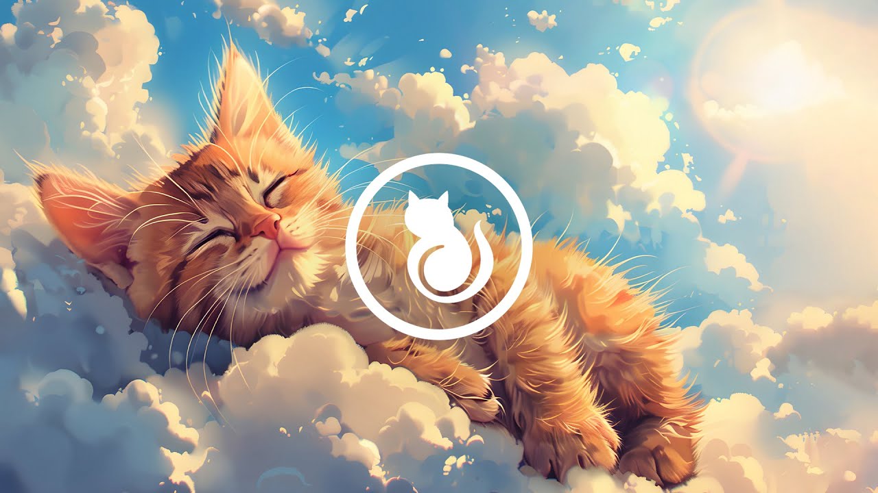 Meow & Chill - Cozy Lo-Fi Vibes by ChillCat - YouTube