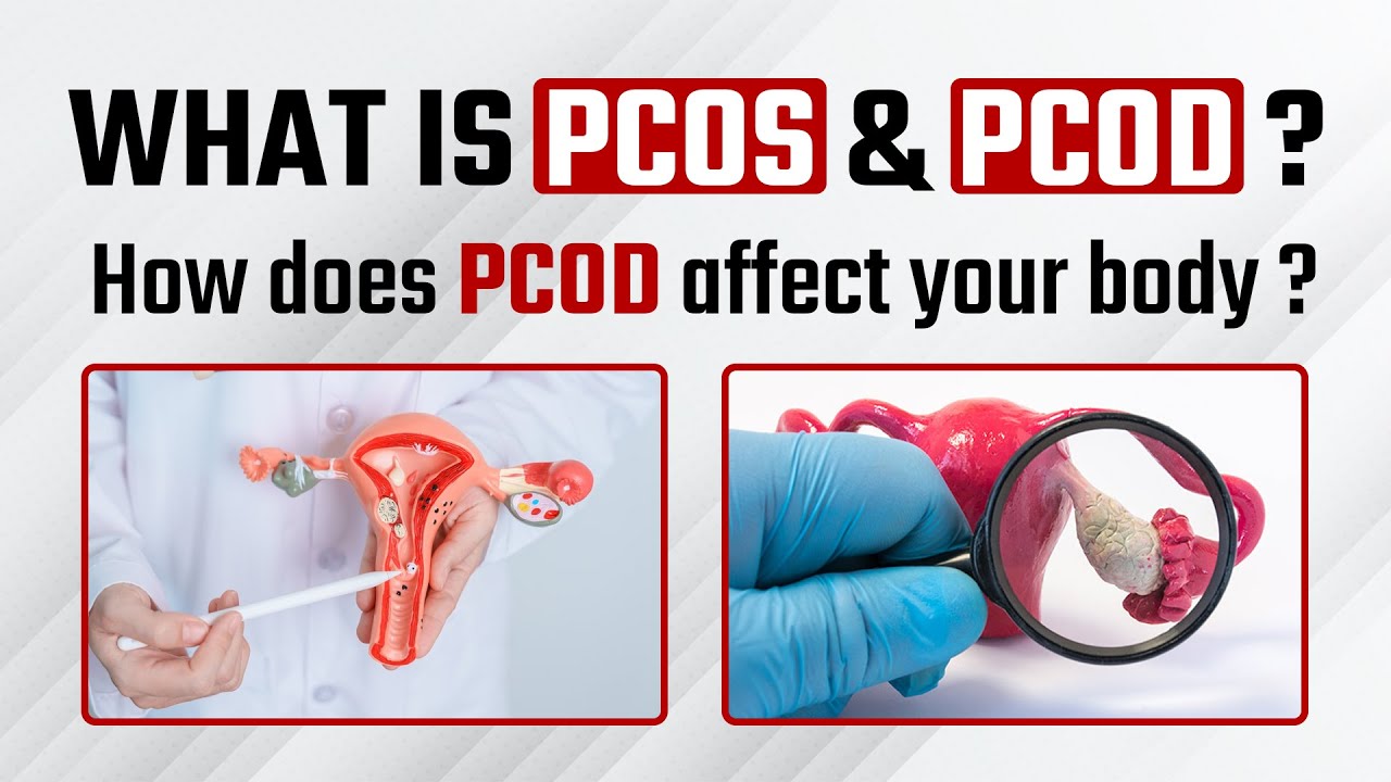 What Is Pcos & Pcod ? | How does PCOD affect your body ? | Pcod & Pcos ...