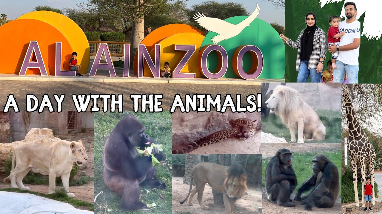 Al Ain Zoo Walking Tour 2024 | Abu Dhabi | UAE | A Day inside Zoo | UAE ...