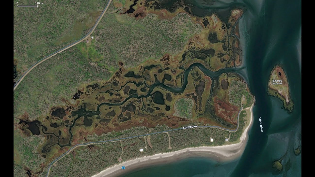 Louis Head Beach Salt Marsh Exploration Aug 4 2023 - YouTube