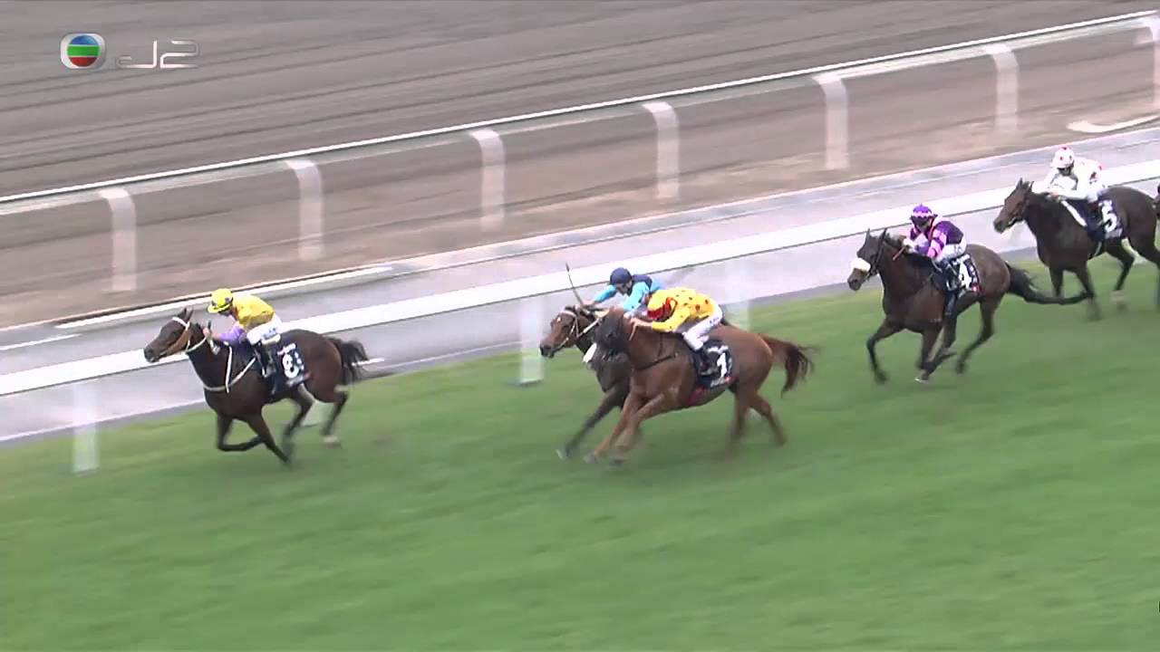 2015 Hong Kong International Sprint (International Group 1) - YouTube