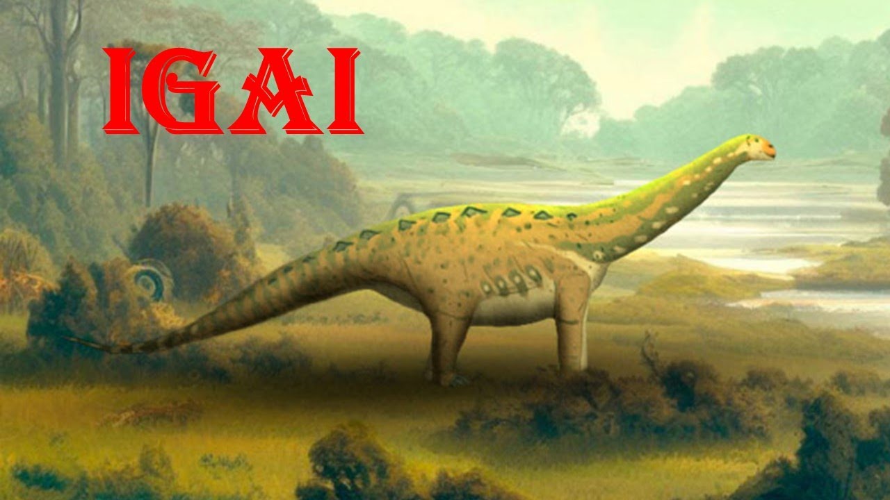 igai - YouTube