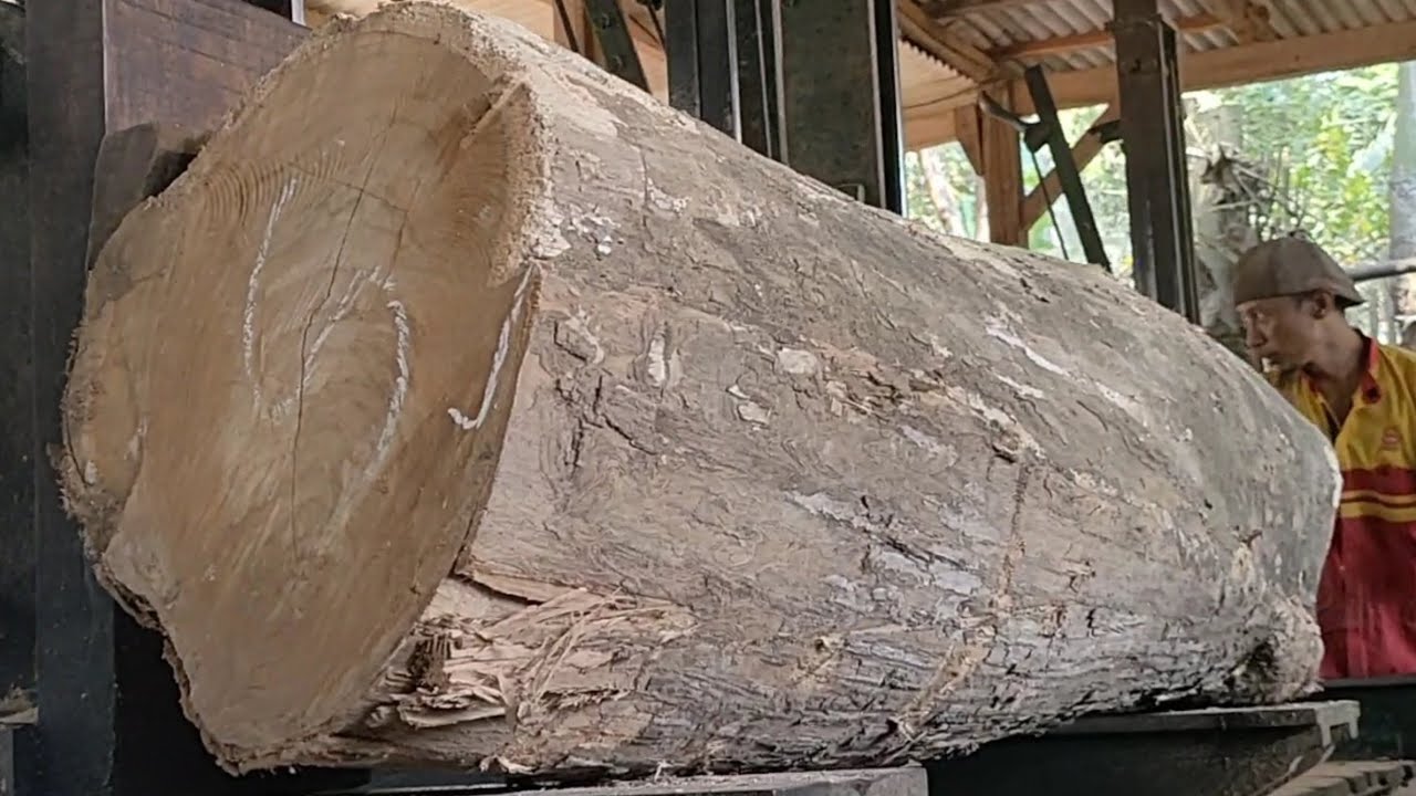 Si raja kayu yang luar biasa serat indah penggergajian kayu pembuatan ...