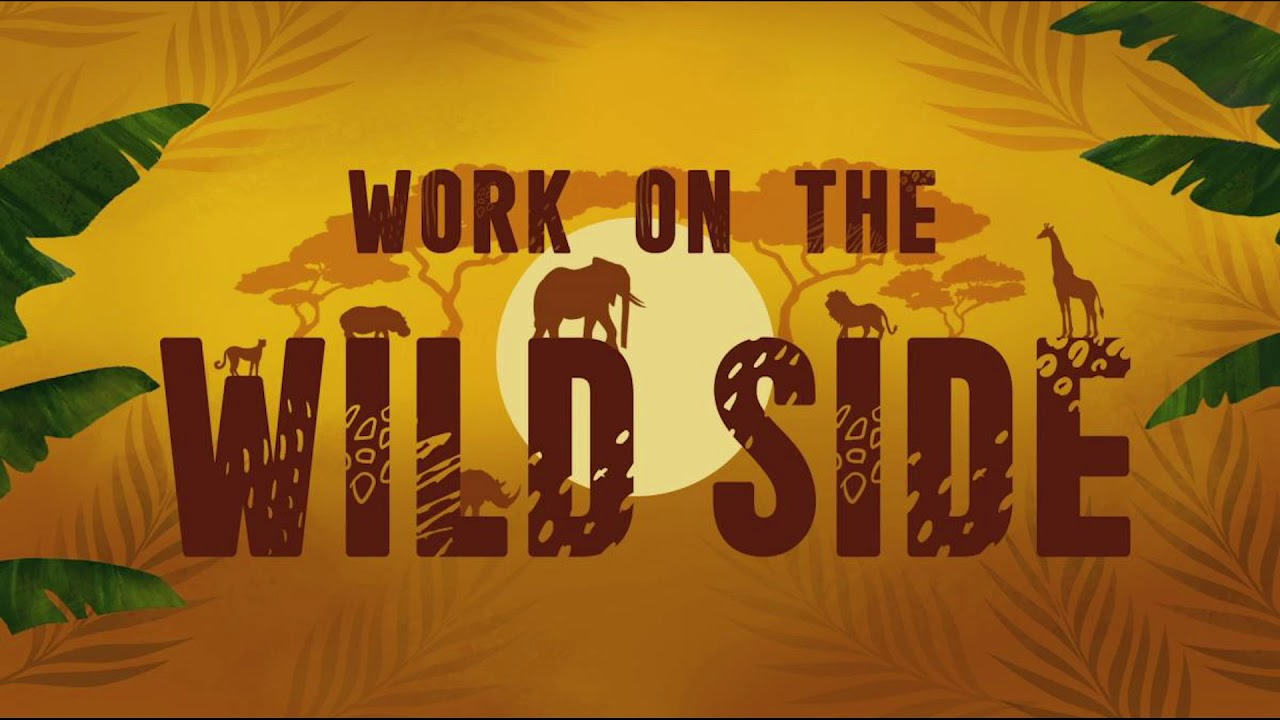 Channel 4: Work On The Wild Side | Opening Theme - YouTube