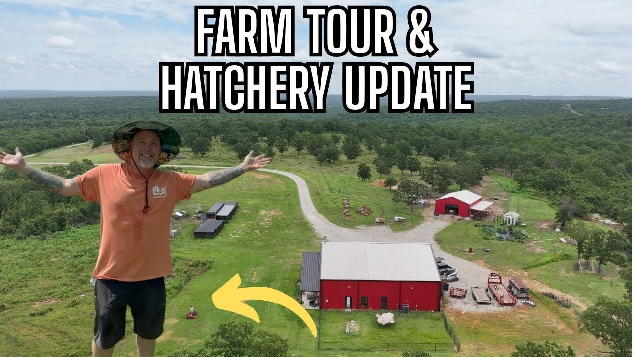 Summer Farm Tour 2025 Real Life at Paragon Ridge Ranch | Chickens ...