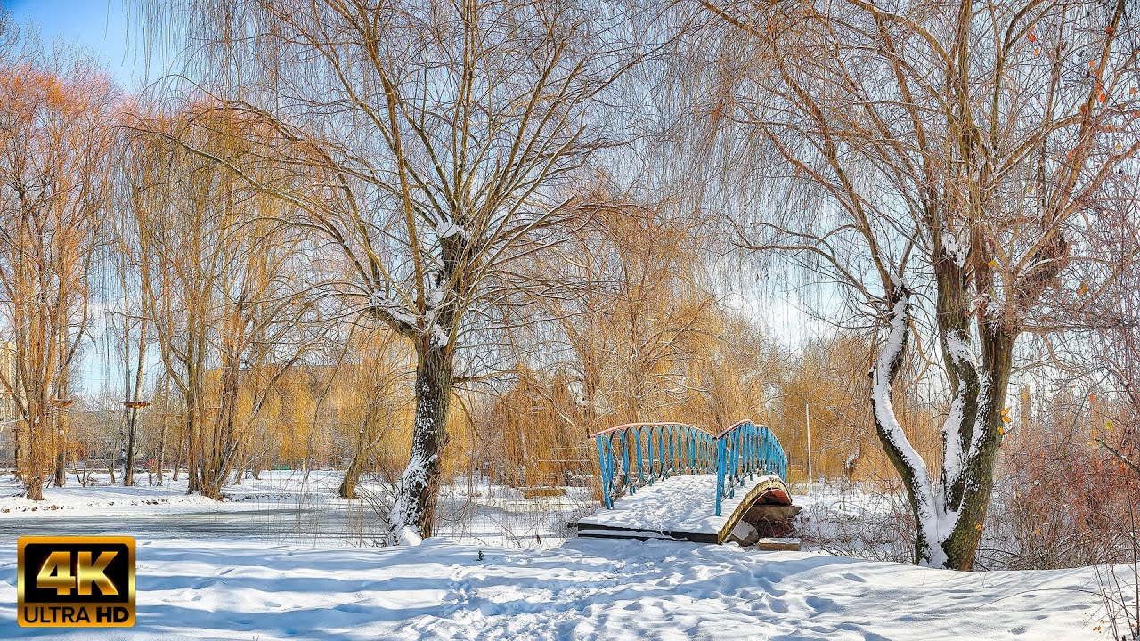 4k Winter Landscape Video - Relaxing Nature with Piano Music Will ...
