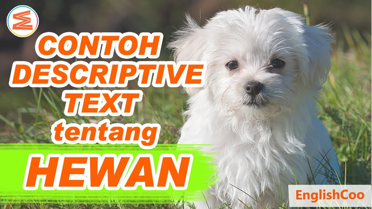 CONTOH DESCRIPTIVE TEXT TENTANG HEWAN PELIHARAAN ANJING (DOG ...