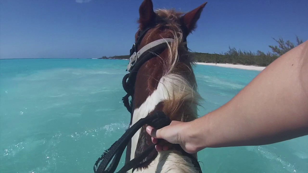 Horseback riding Half Moon Cay - YouTube
