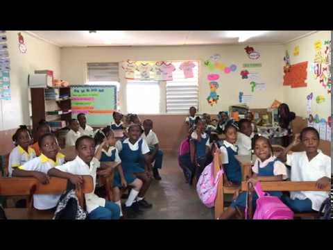 The Saint Lucia Postcard Competition - video resource 2 - Mon Repos ...
