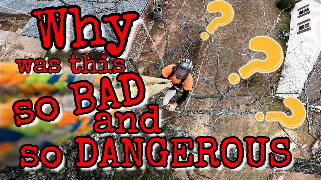 Tree Rigging *GONE WRONG* / Explained - YouTube