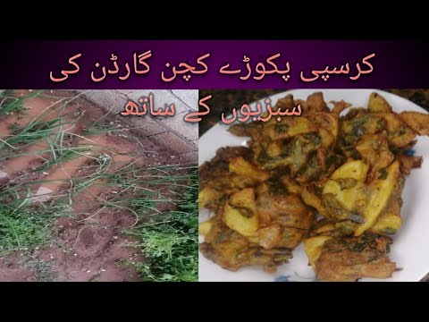 Secret Recipe for Perfect Crispy Pkory - YouTube