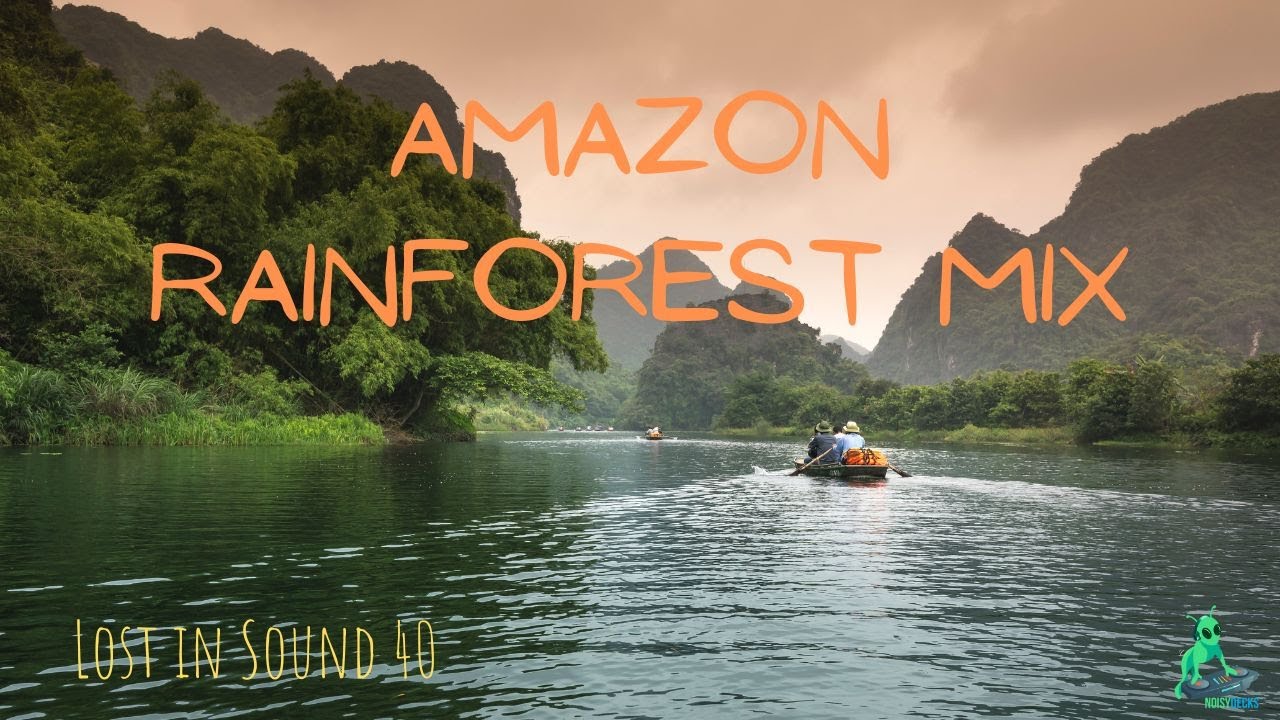 Lost in Sound 40 - Amazon Rainforest - YouTube
