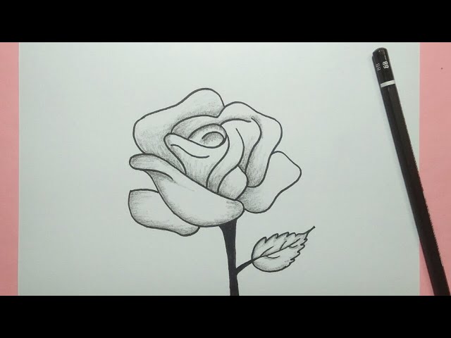 Cara Melukis Bunga Mawar Belajar Melalui Bunga Mawar Yang Bengkok