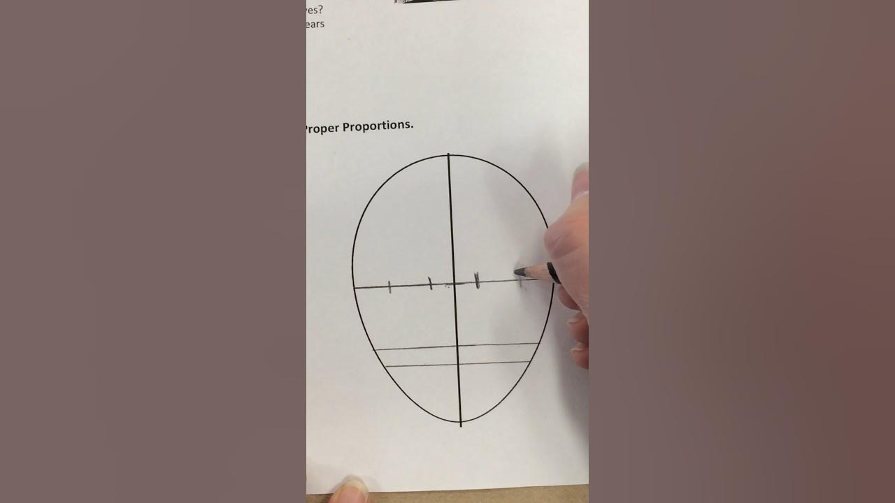 Drawing the Basic Proportions of the face - YouTube
