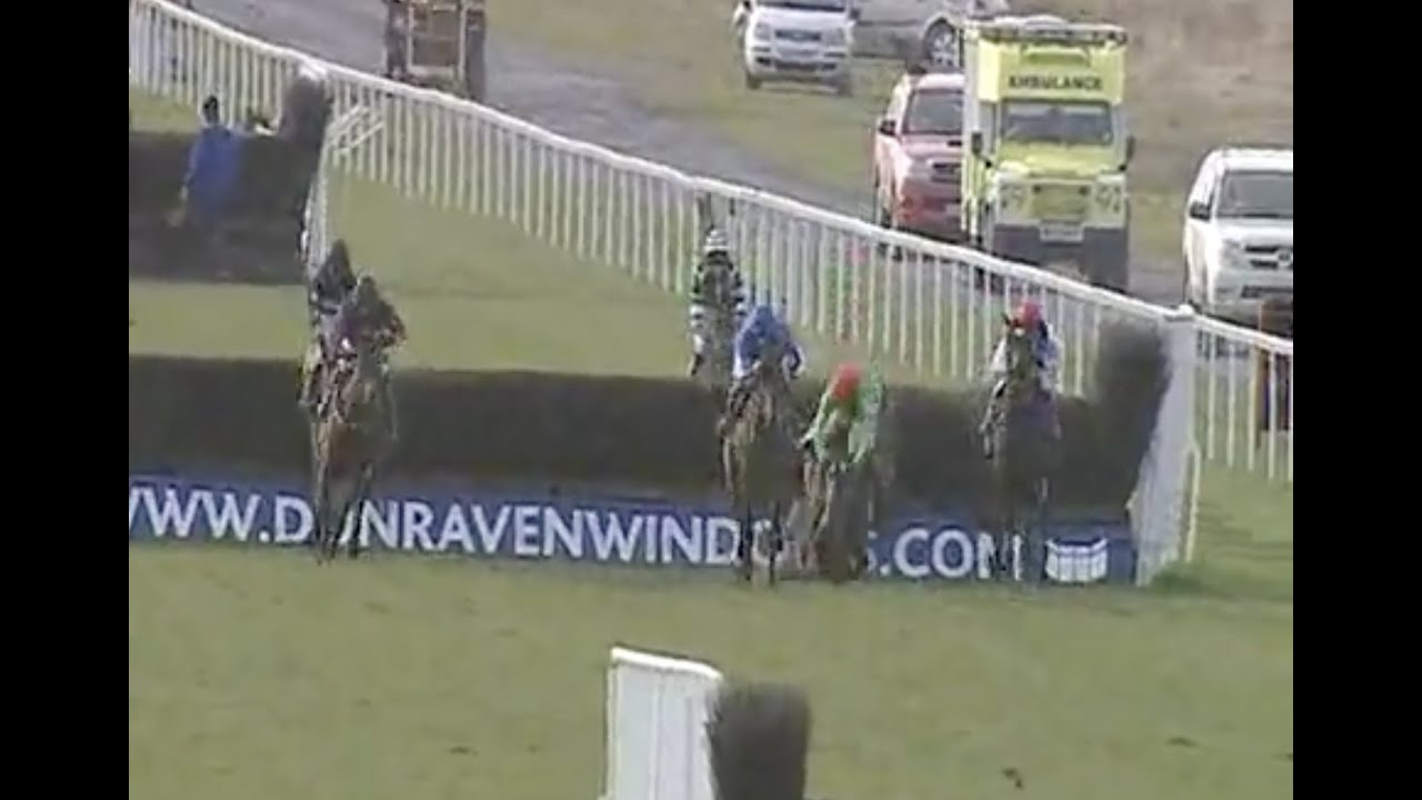 Horse Racing Death 215 - Brenin Cwmtudu at Ffos Las Racecourse - YouTube
